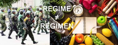 My Current Peeve: Regime vs Regimen - MedSci Communications